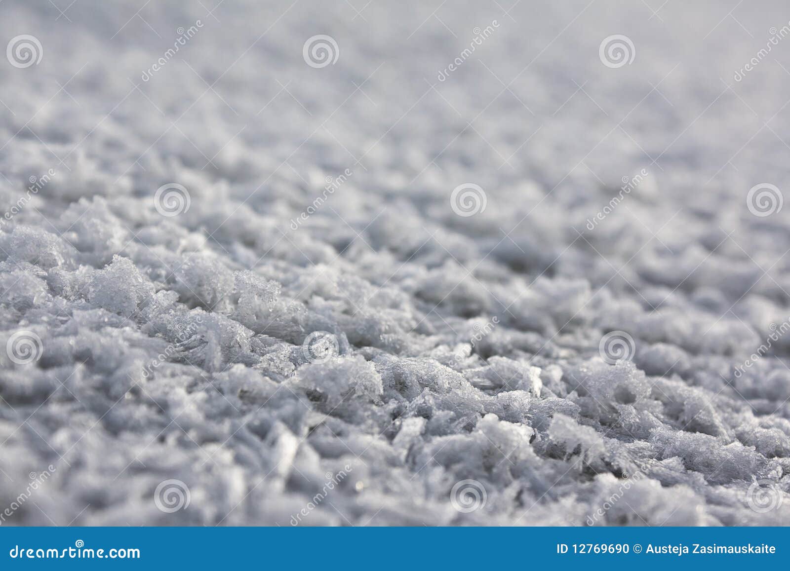 Frost stock photo. Image of frost, fragment, macro, cold - 12769690