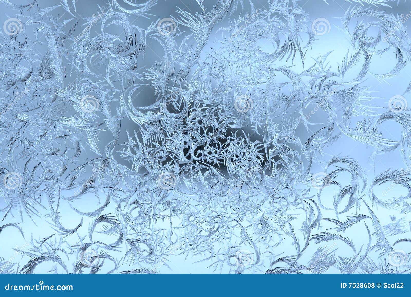Frost stock photo. Image of nature, close, frost, design - 7528608