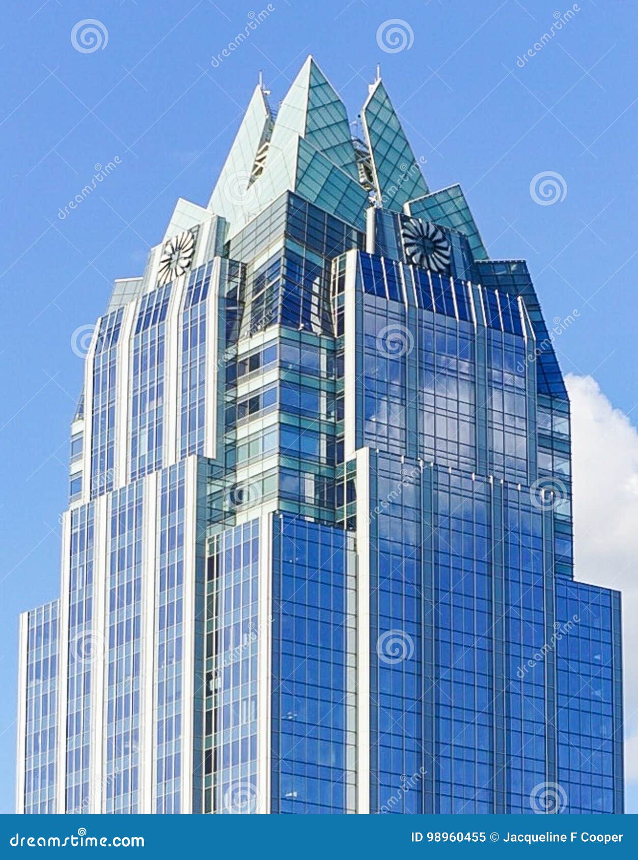 Owl Austin Stock Photos - Free & Royalty-Free Stock Photos from Dreamstime