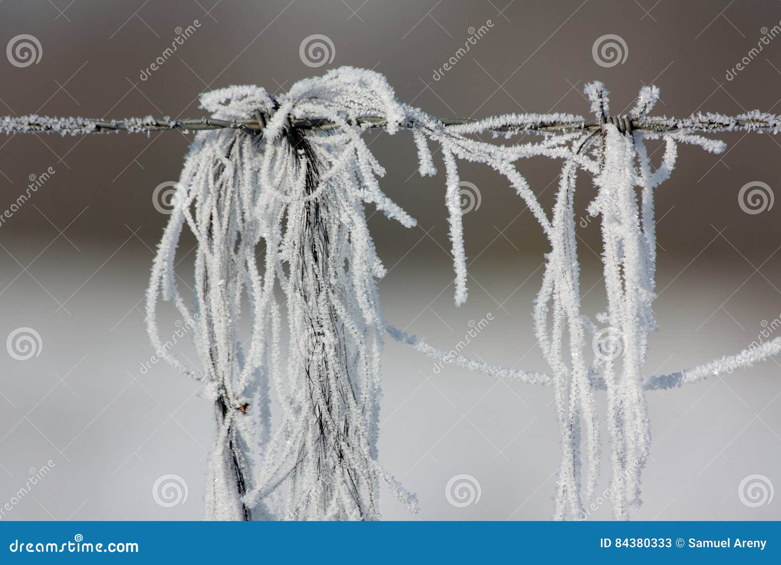 Frost on barbed wire stock image. Image of wire, icing - 84380333