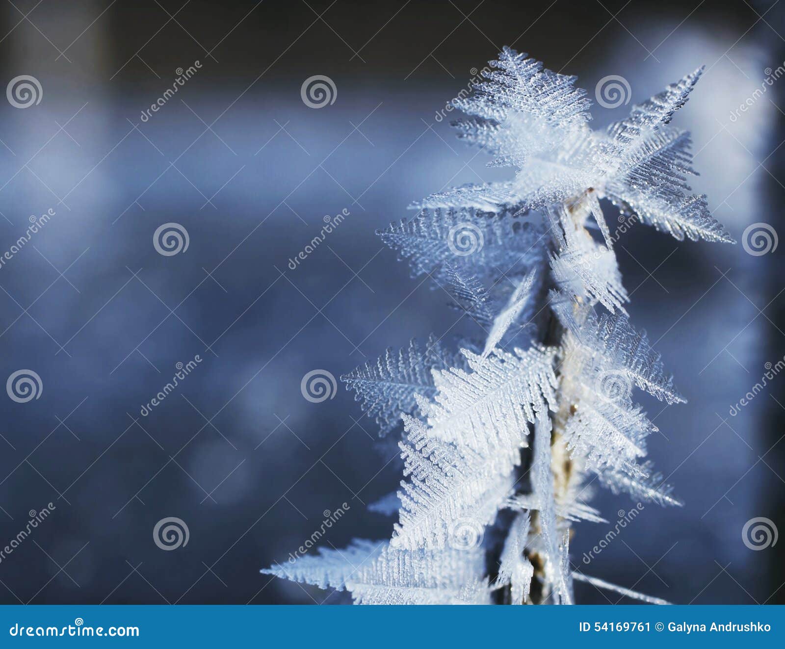 Frost close-up stock image. Image of crystal, frosty - 54169761