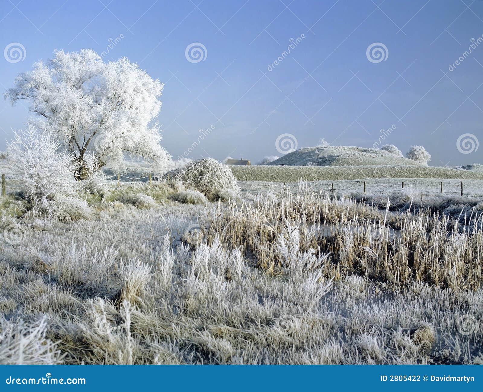Frost covered landscape stock photo. Image of england - 2805422