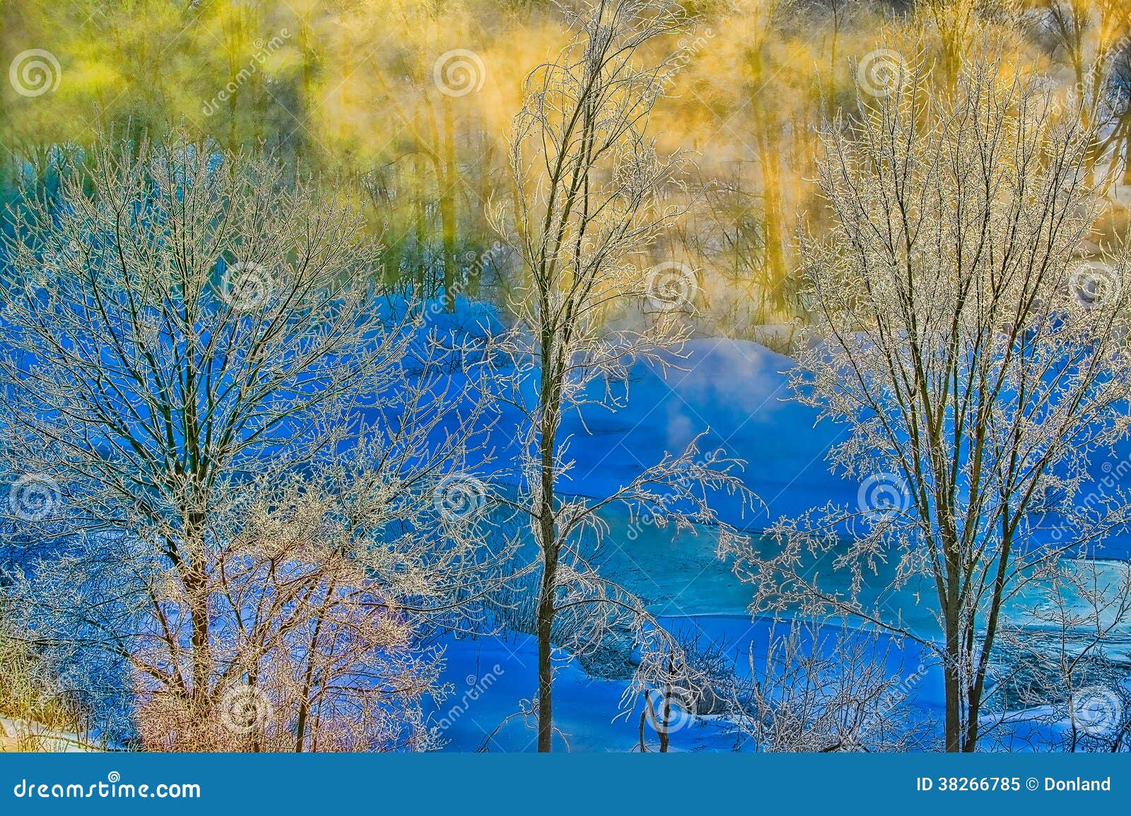Frost Covered Trees in Winter. Stock Image - Image of states, white ...