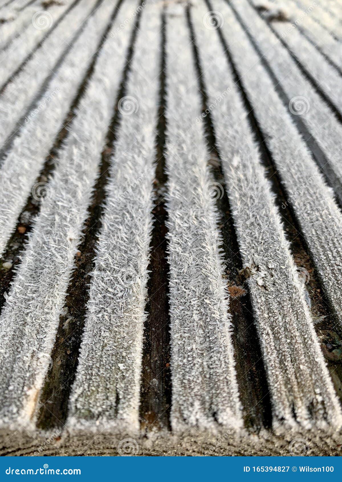 Frost covered wood stock image. Image of natural, stripes - 165394827
