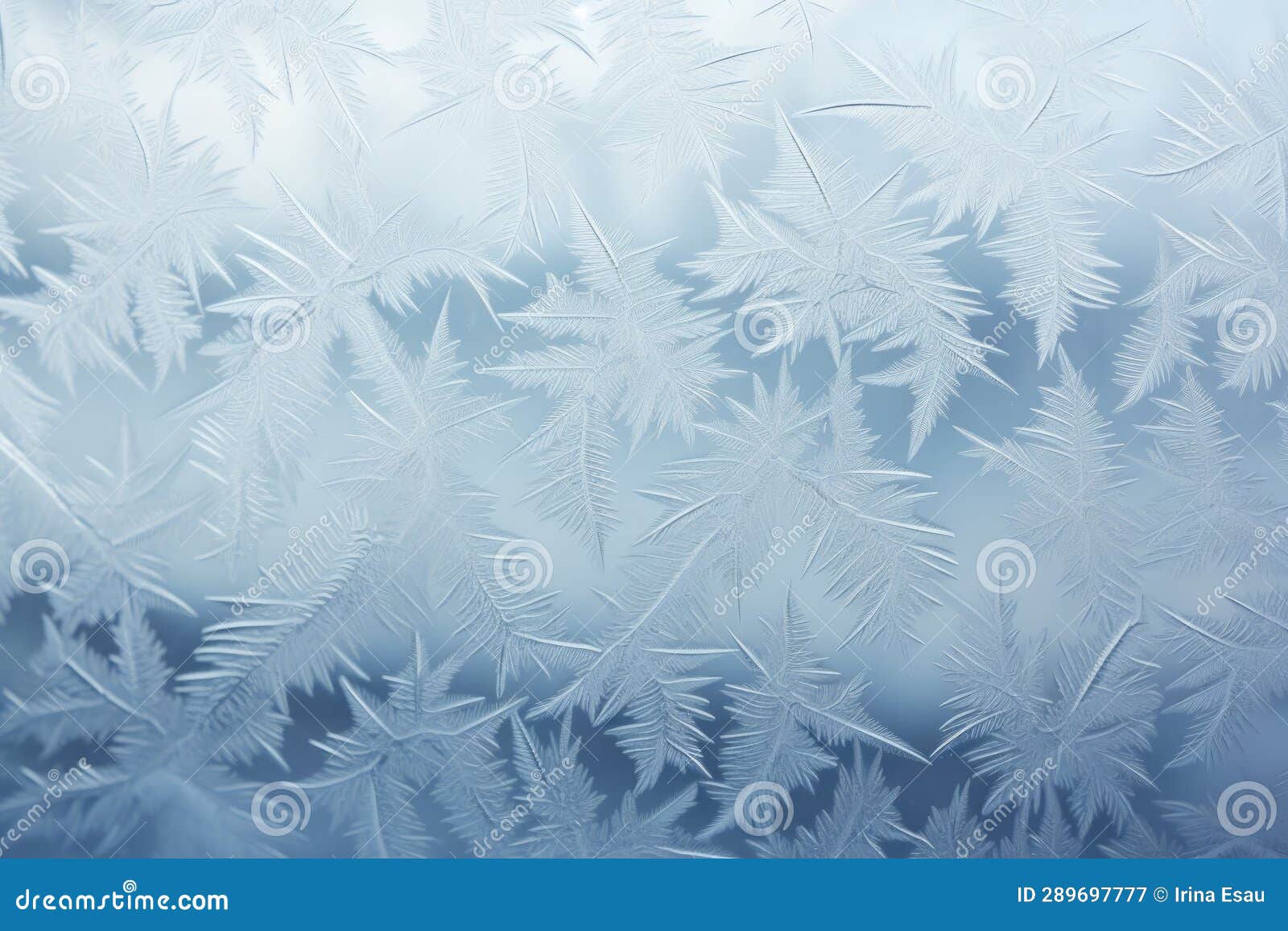 Frost Creates Fascinating Patterns on a Window in Winter Stock Image ...