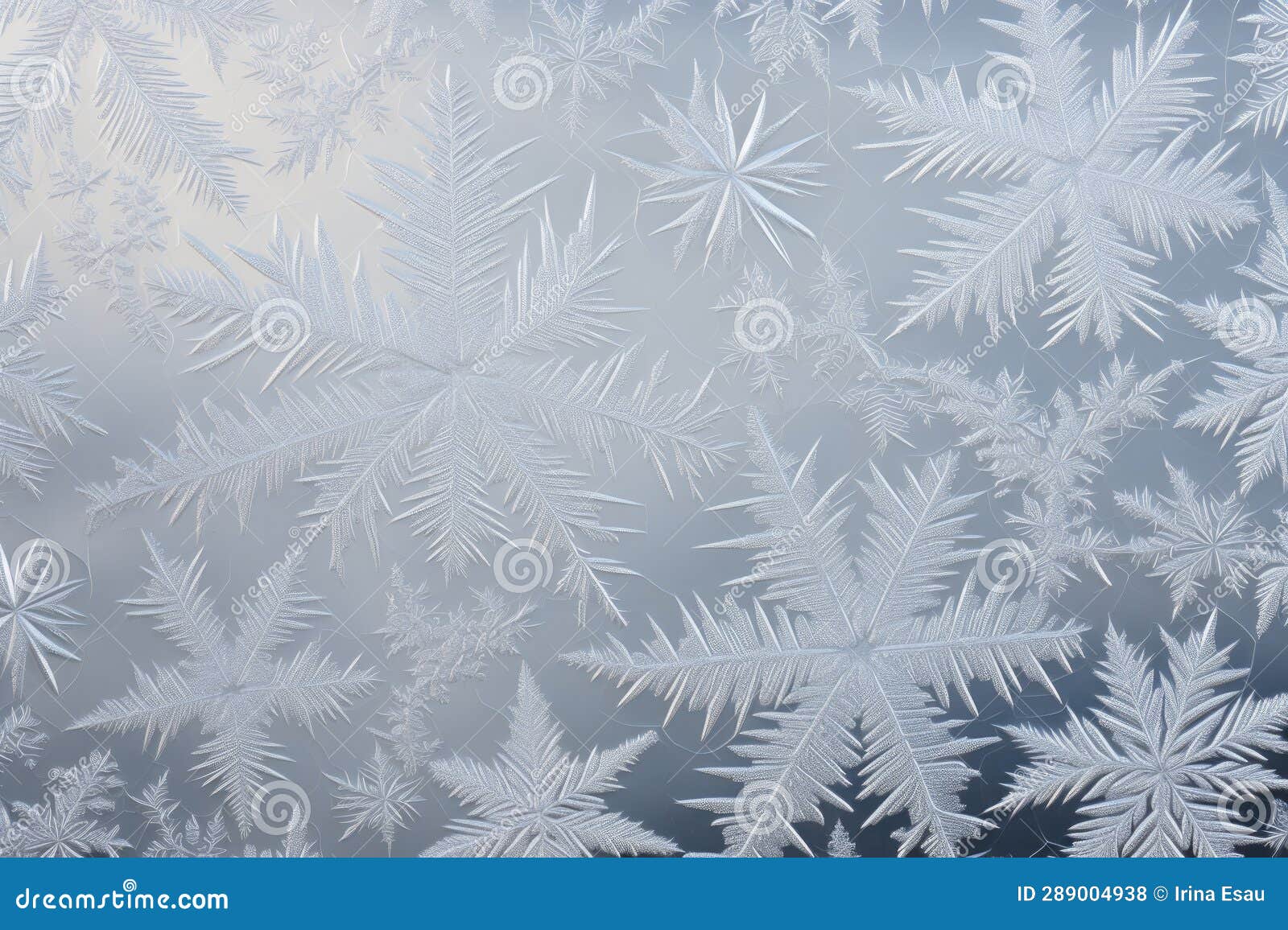 Frost Creates Fascinating Patterns on a Window in Winter Stock Photo ...