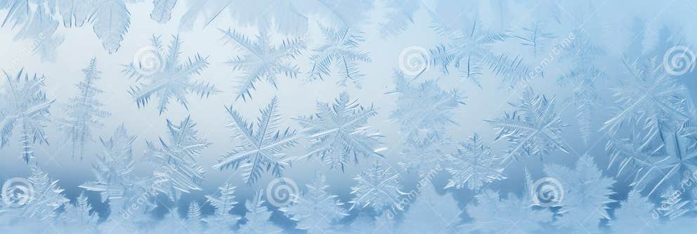 Frost Creates Fascinating Patterns on a Window in Winter.banner Stock ...