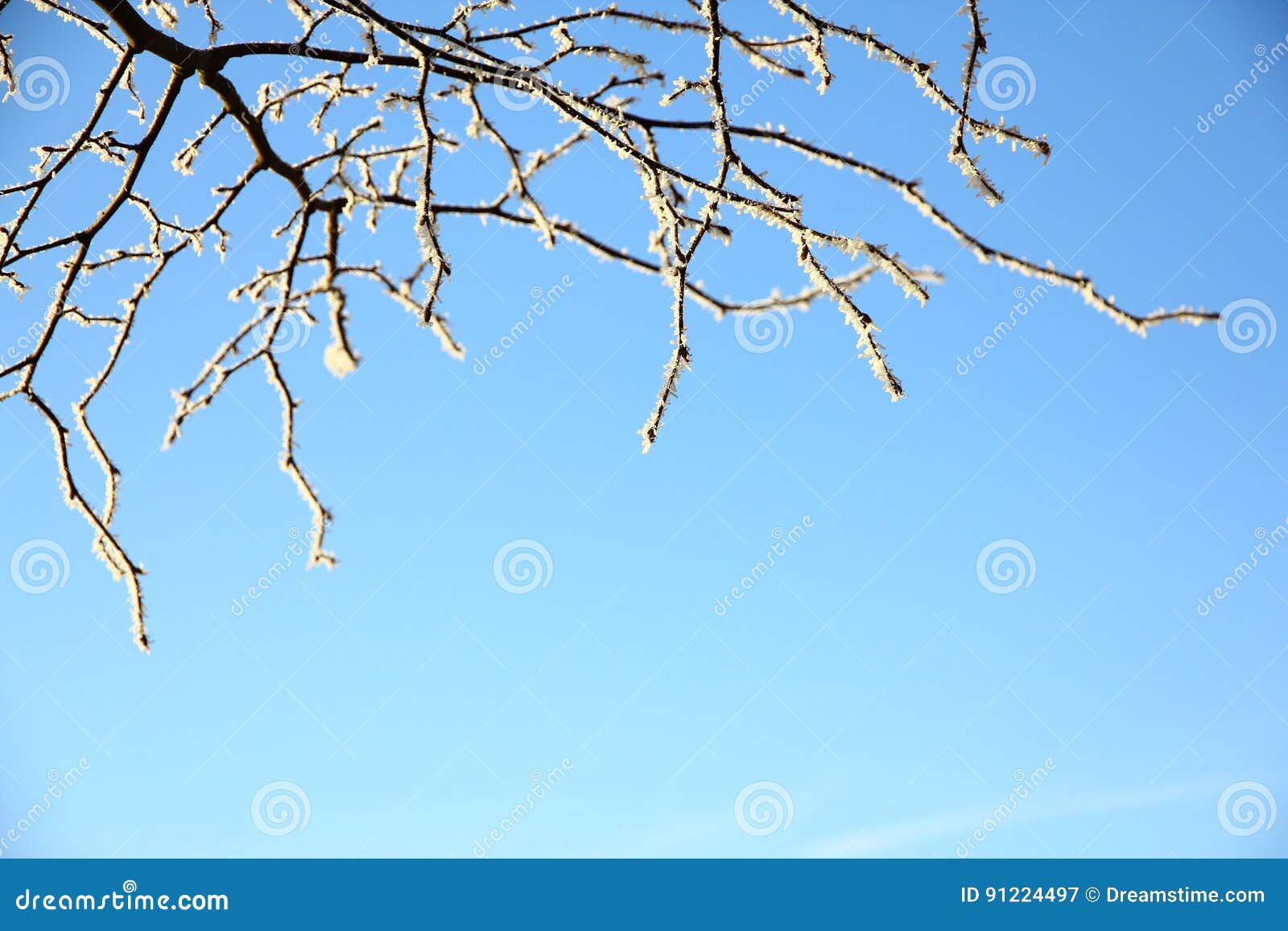 Frost day stock image. Image of inside, field, hill, foggy - 91224497