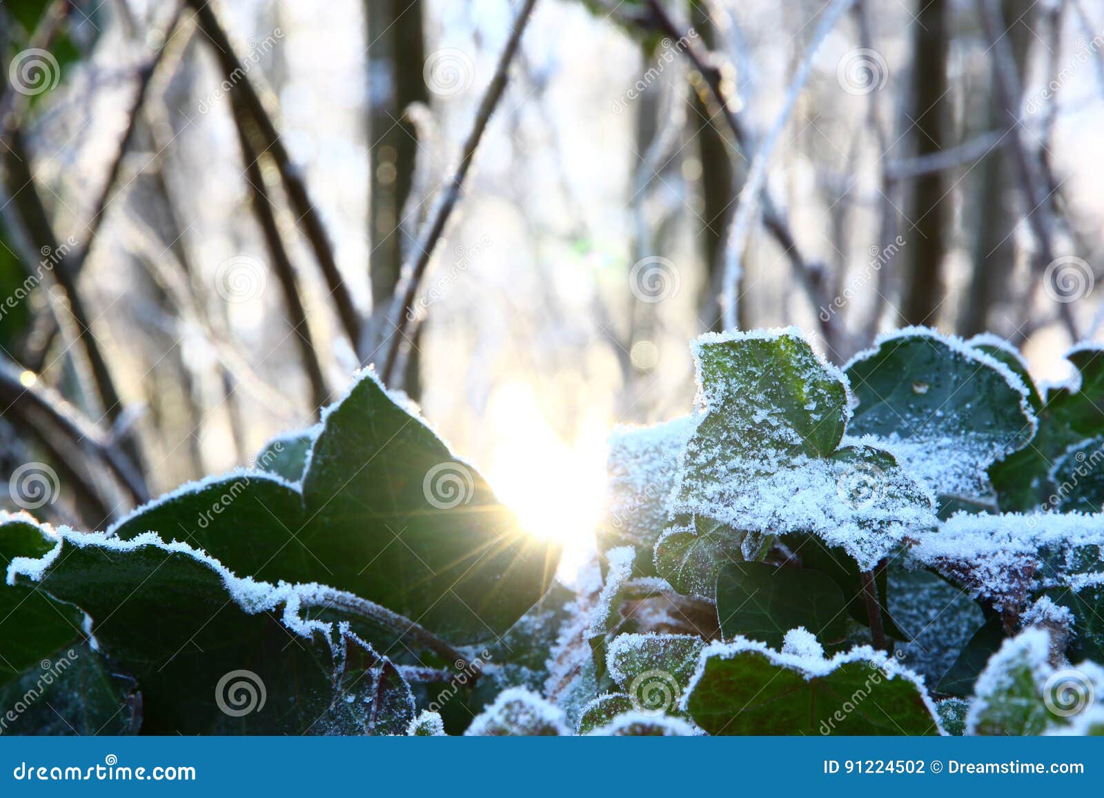Frost day stock photo. Image of sunlight, outside, famous - 91224502