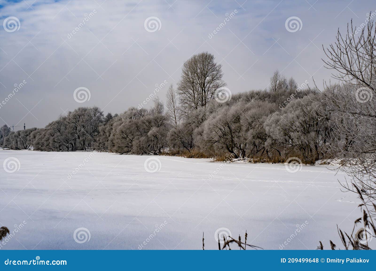 Frost day on a lake stock photo. Image of beach, morning - 209499648