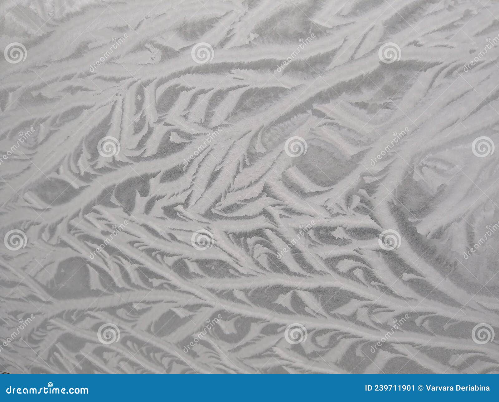 Frost, Drawing on the Glass from the Cold, Snow Patterns Stock Image ...