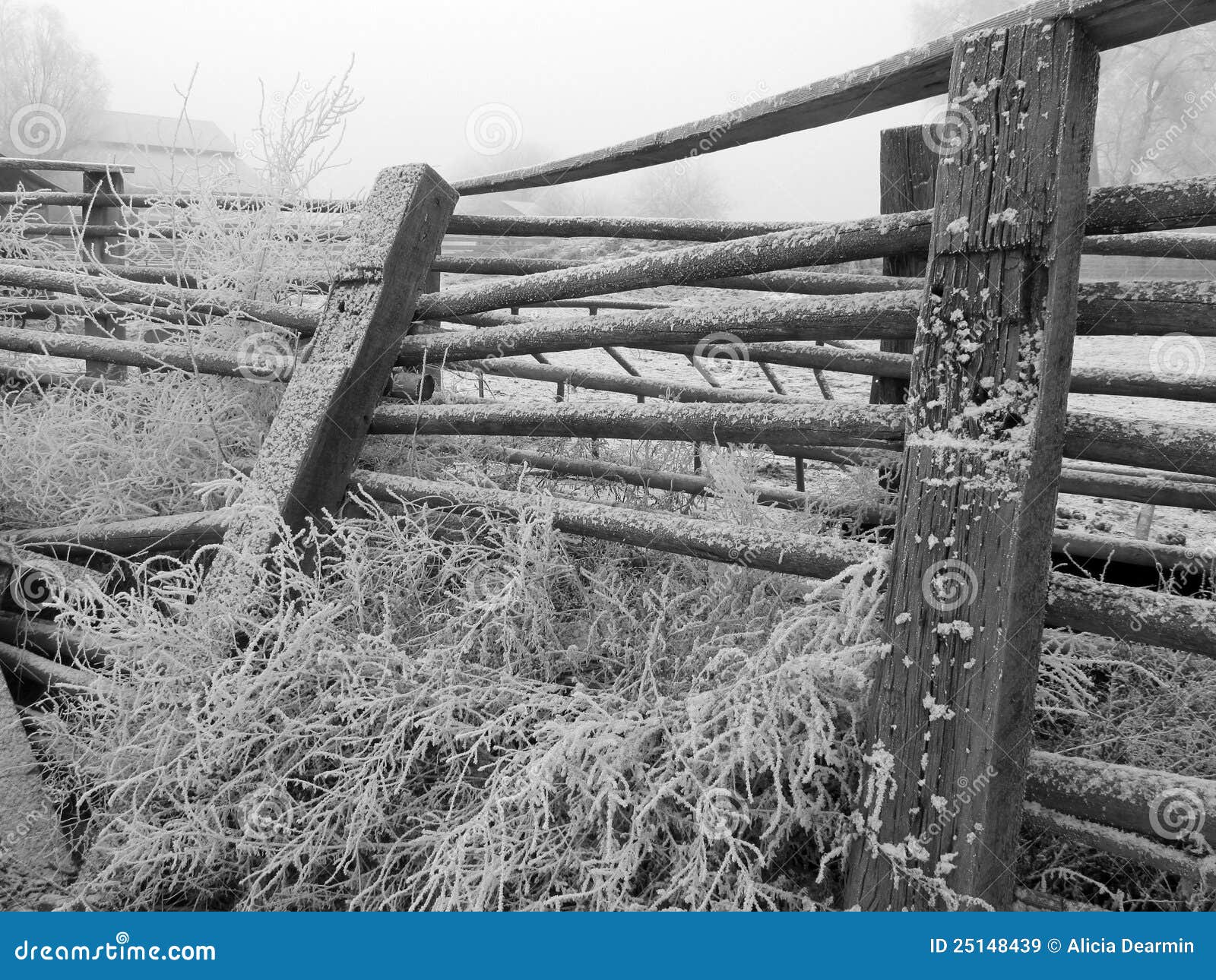 Frost on farm fence stock image. Image of frosty, fence - 25148439