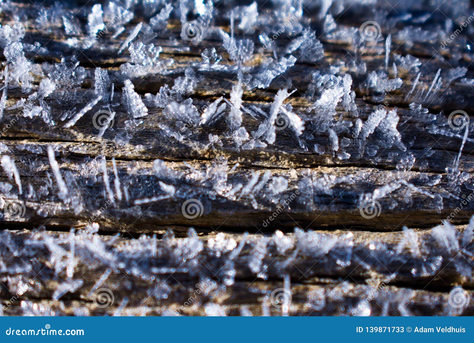 Frost Flakes stock image. Image of arizona, northern - 139871733