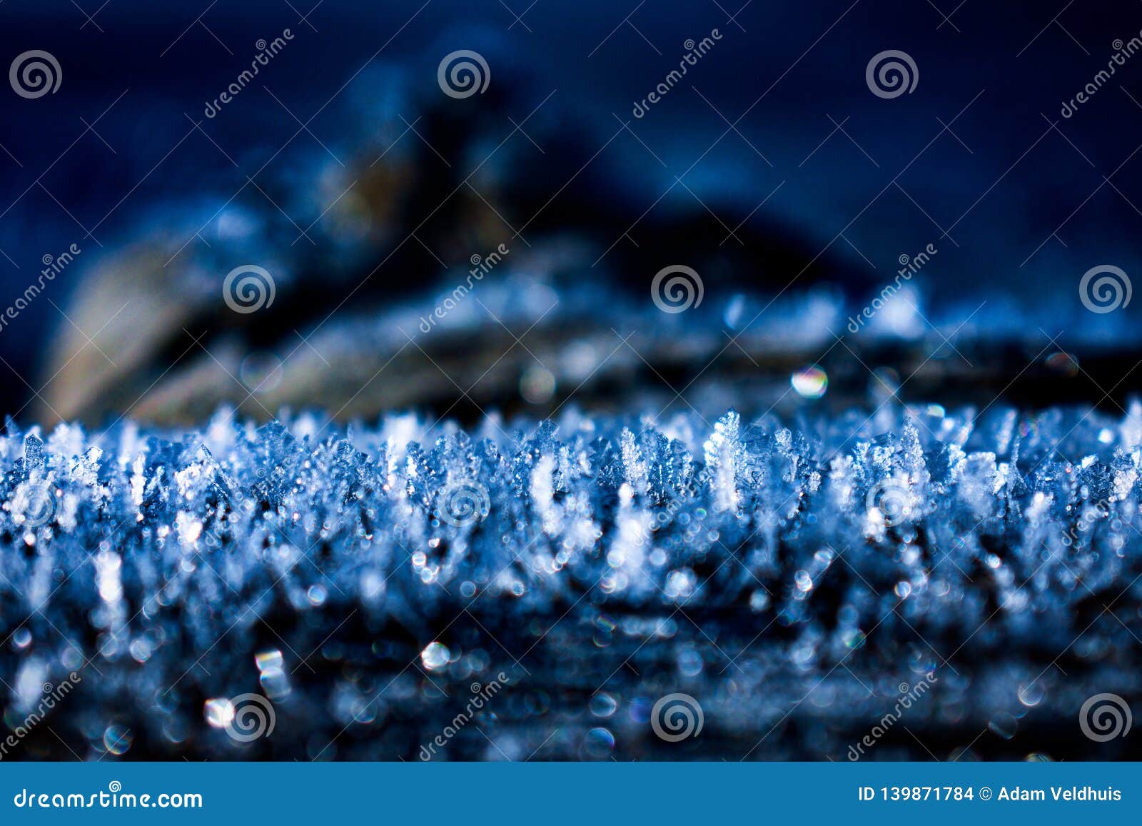 Frost Flakes stock photo. Image of winter, northern - 139871784
