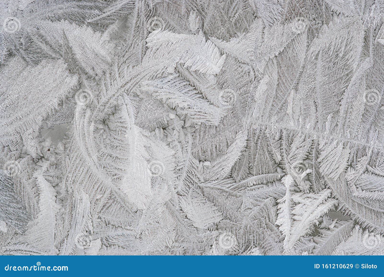 Frost flower on the window stock image. Image of icing - 161210629