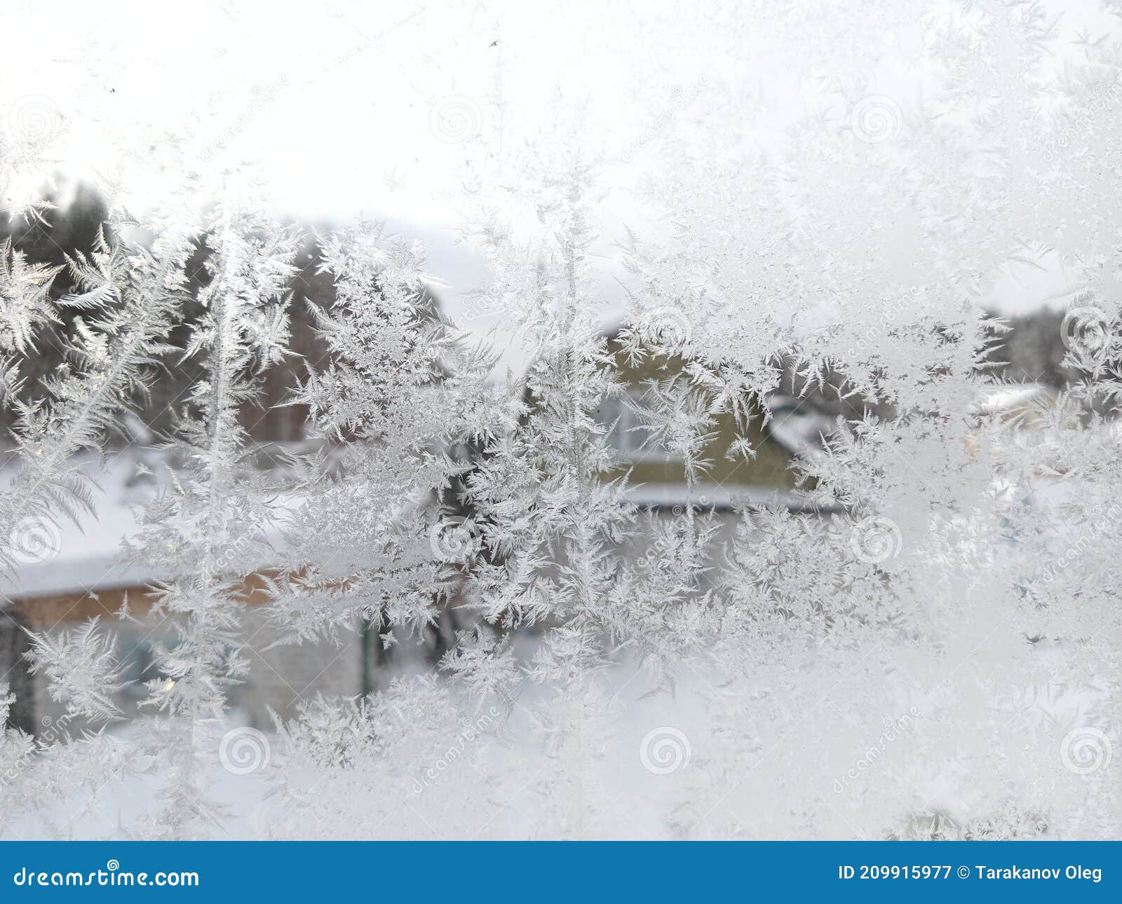 Frost Flowers from the Ice Crystals on the Glass of the Window. Frost ...