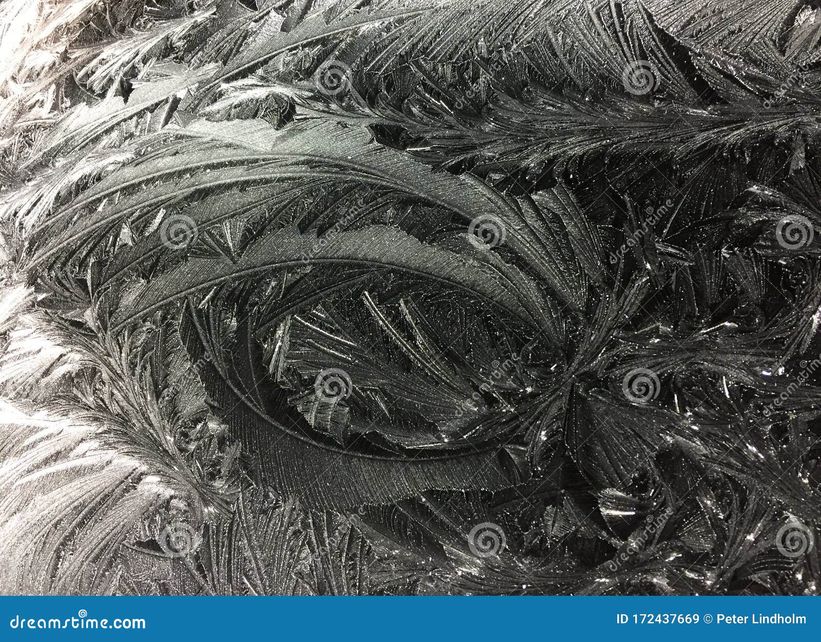 Frost formation stock image. Image of nature, glittery - 172437669