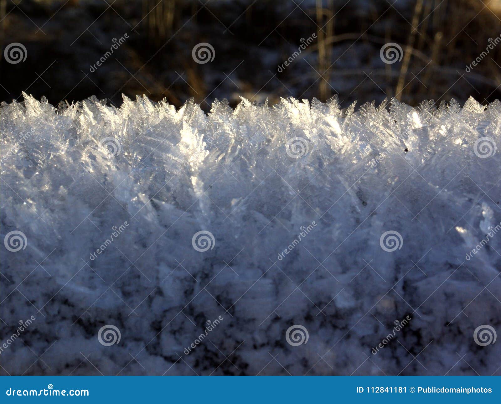 Frost, Freezing, Winter, Snow Picture. Image: 112841181