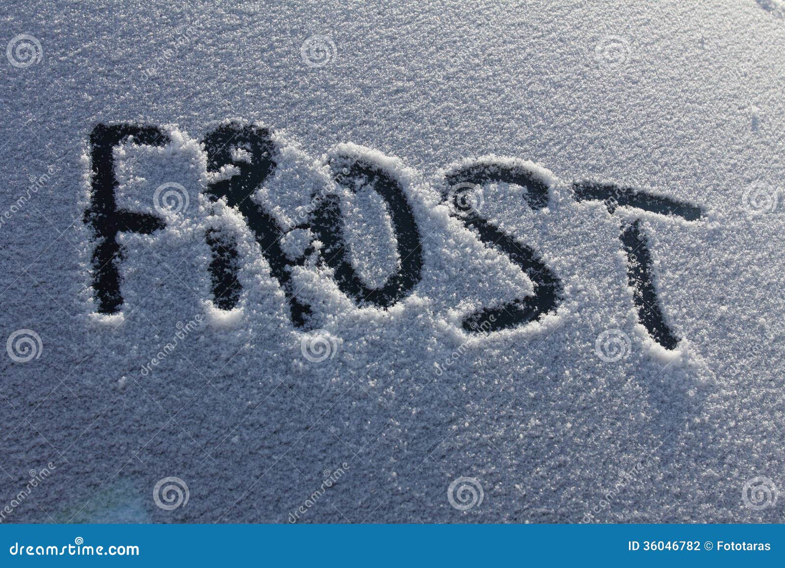 Frost stock photo. Image of nature, texture, trees, park - 36046782