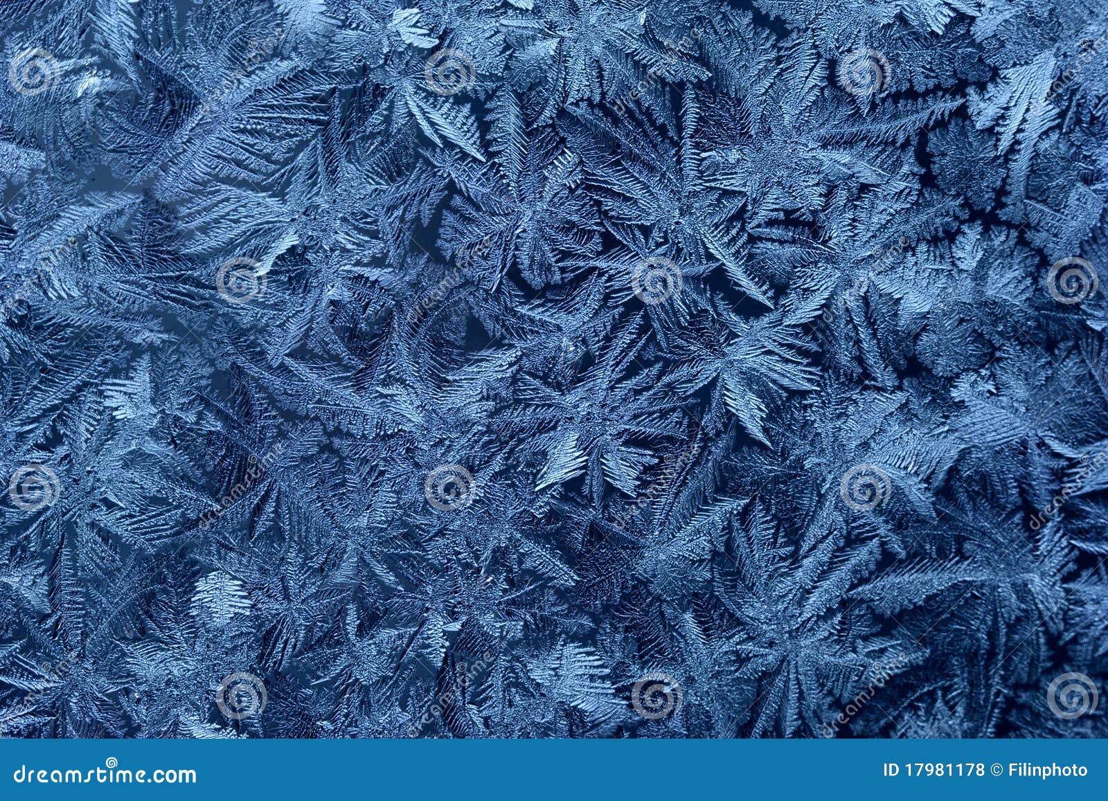 The frost on the glass stock photo. Image of glass, icicle - 17981178