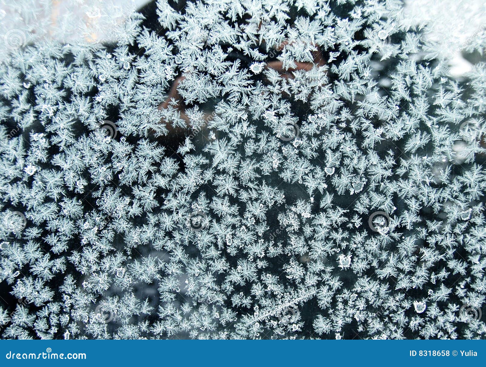 Frost on glass stock photo. Image of december, natural - 8318658