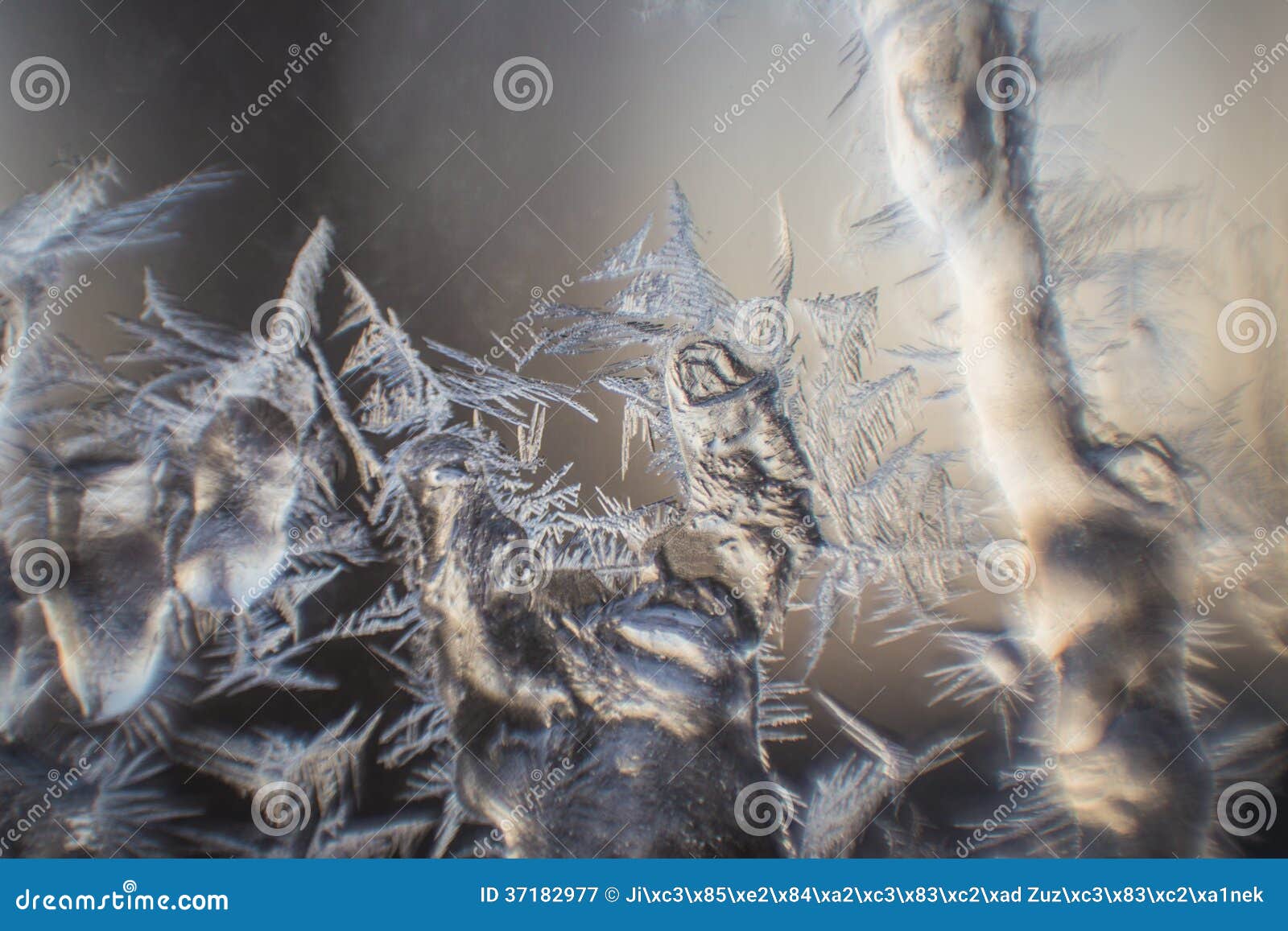 Frost on glass stock image. Image of surface, weather - 37182977