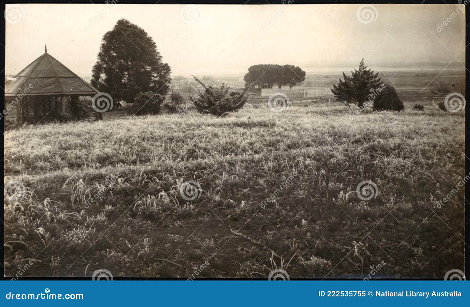 Frost On The Grass, Canberra [Duntroon 1920s] Picture. Image: 222535755