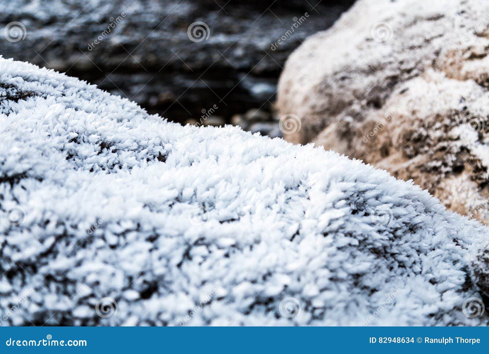 Frost on growning on rocks stock photo. Image of cold - 82948634