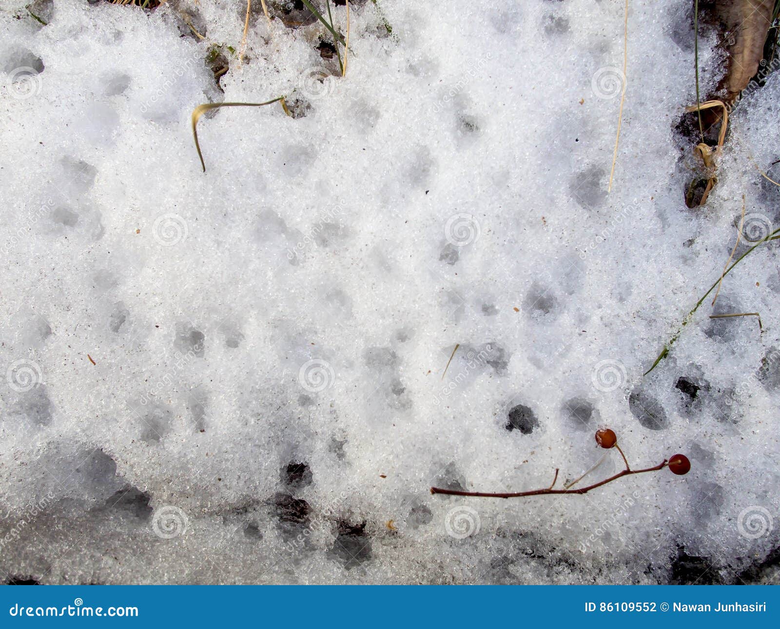 Frost Icy Snow Texture Background Stock Photo - Image of crystal ...