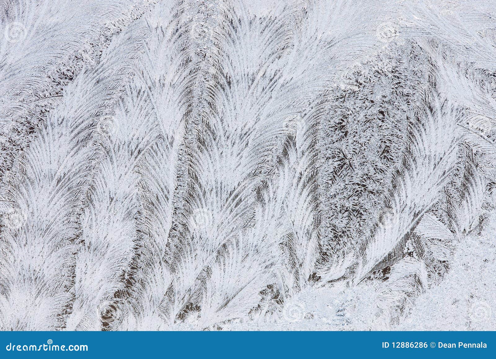 Frost Pattern stock photo. Image of weather, bright, season - 12886286