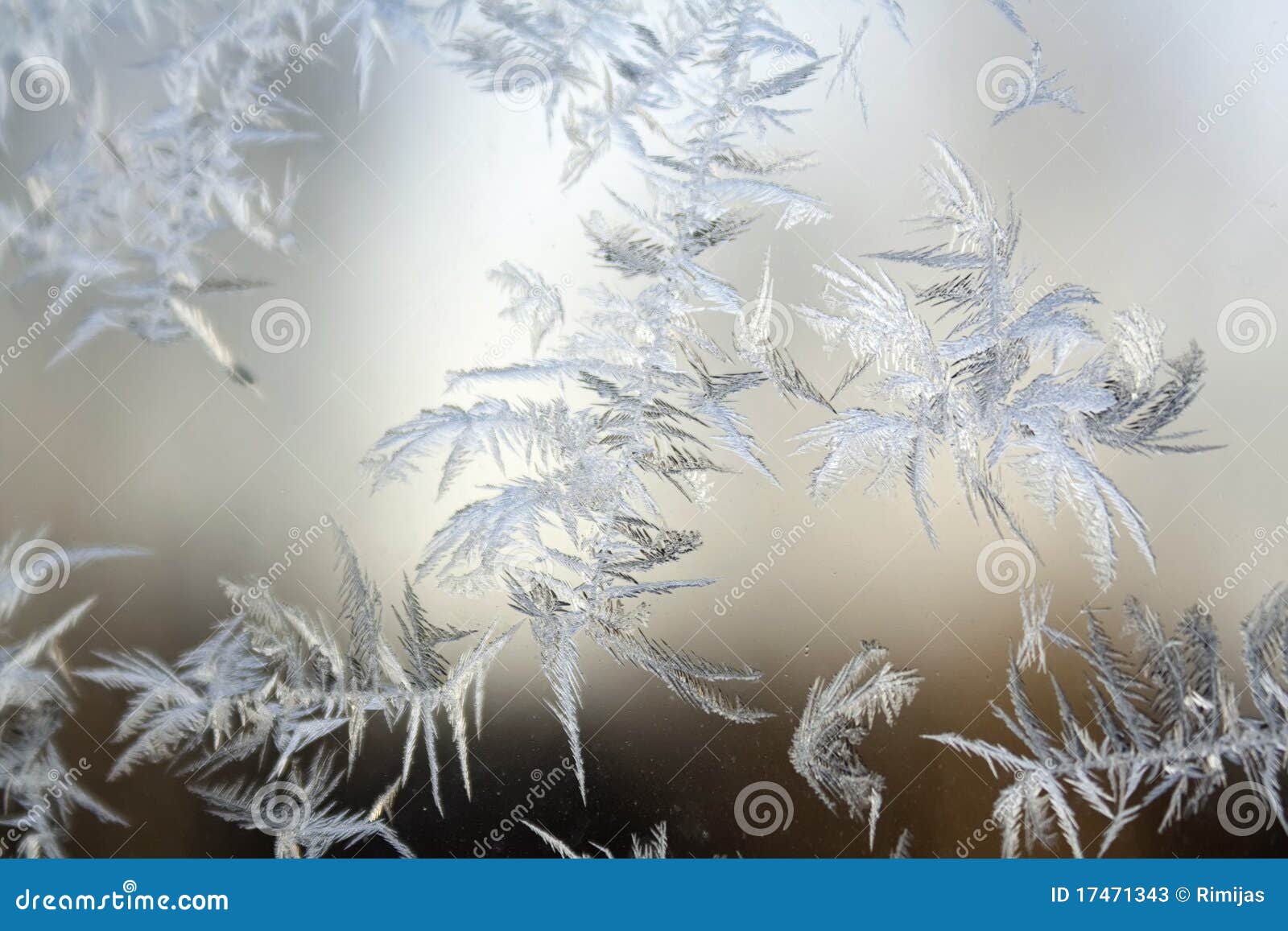 Frost pattern stock image. Image of hoar, icing, closeup - 17471343