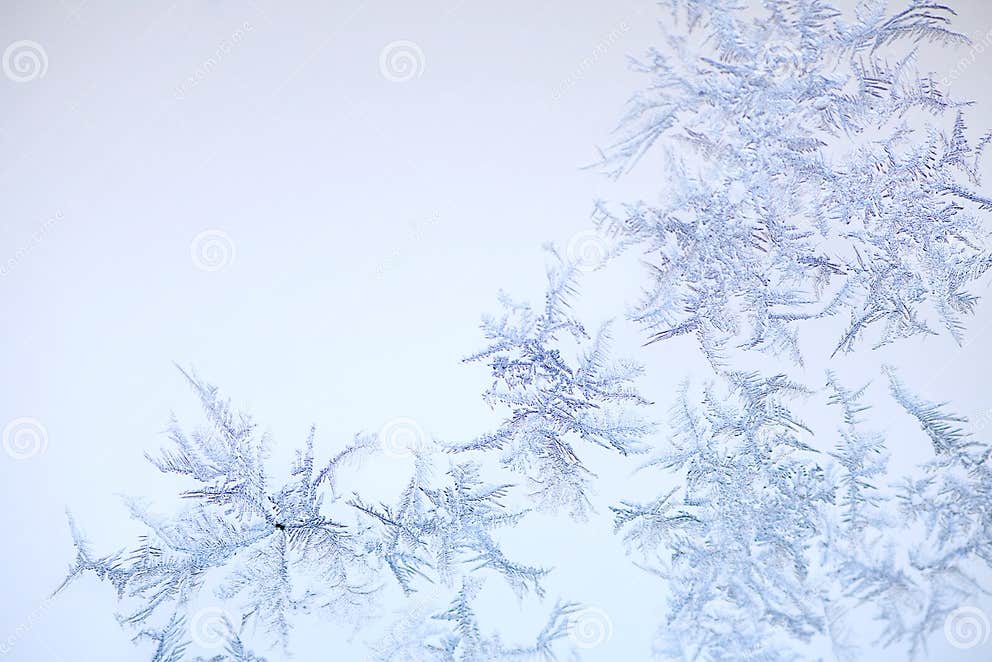 Frost pattern stock photo. Image of abstract, greeting - 7854454
