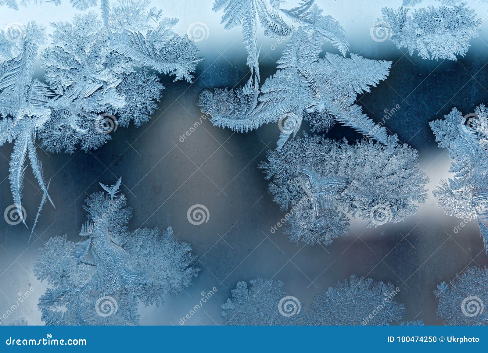 Frost pattern stock photo. Image of design, pattern - 100474250