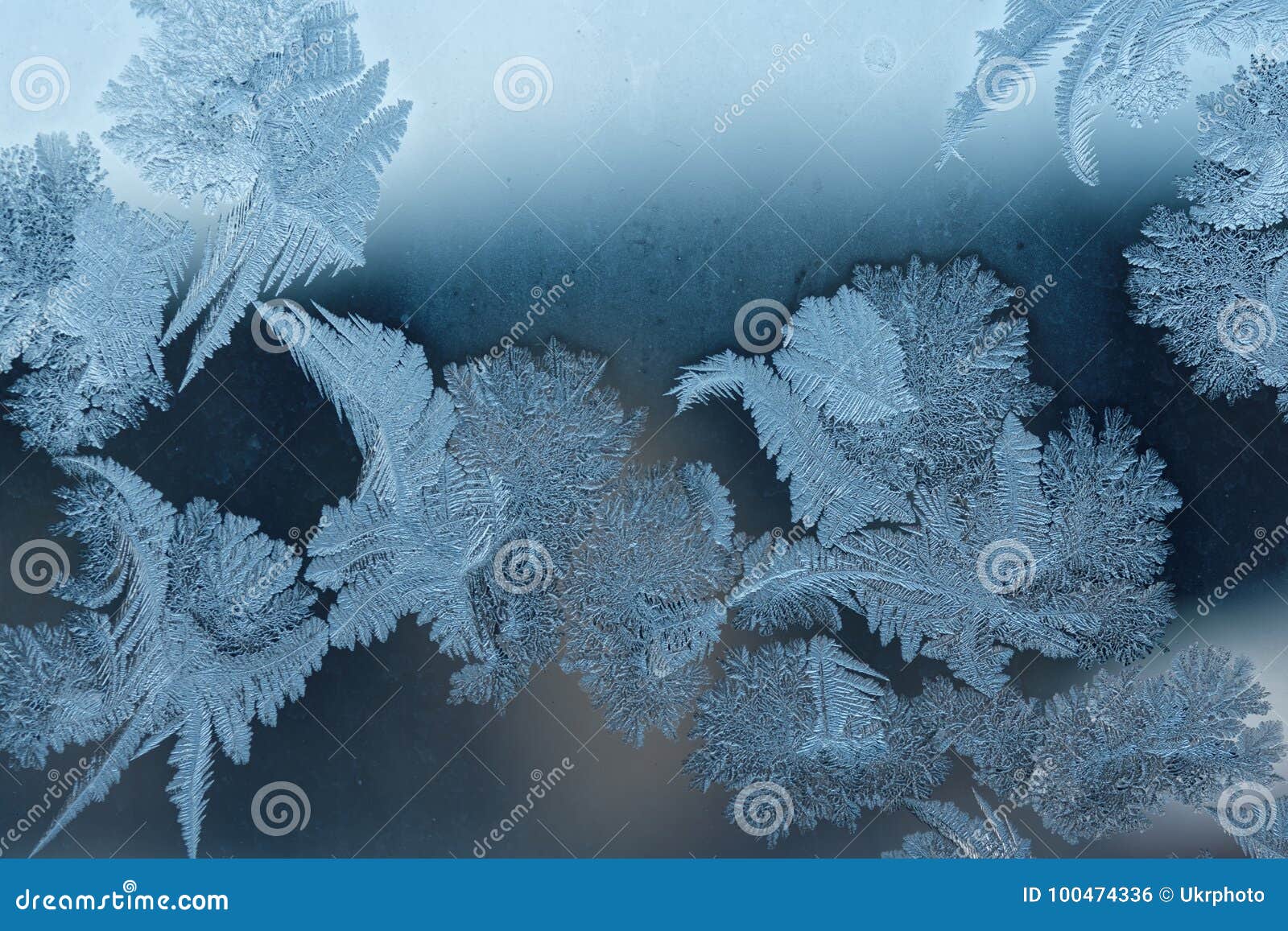Frost pattern stock photo. Image of element, frozen - 100474336