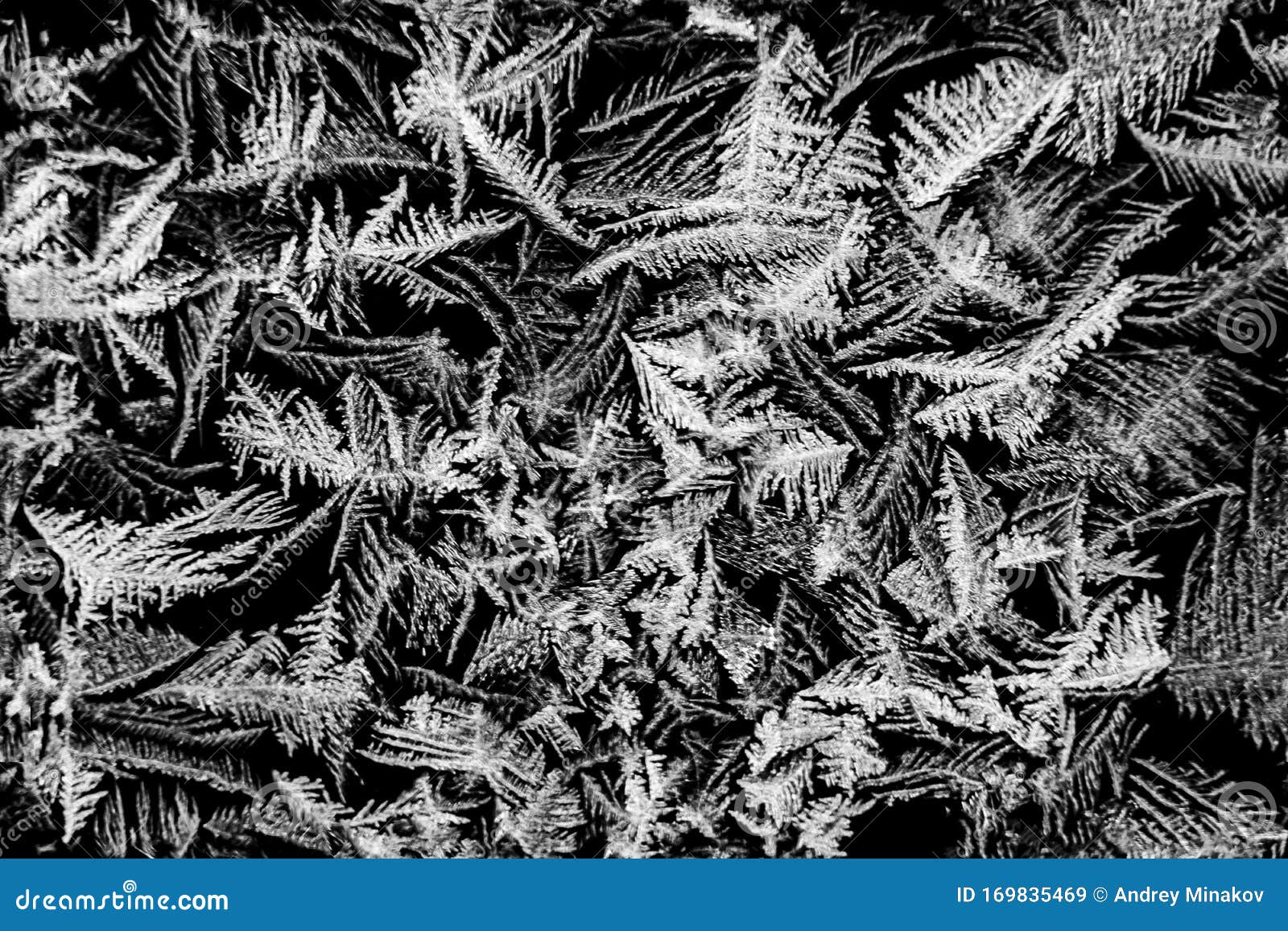 Frost Pattern on the Glass Seamless Stock Image - Image of natural ...