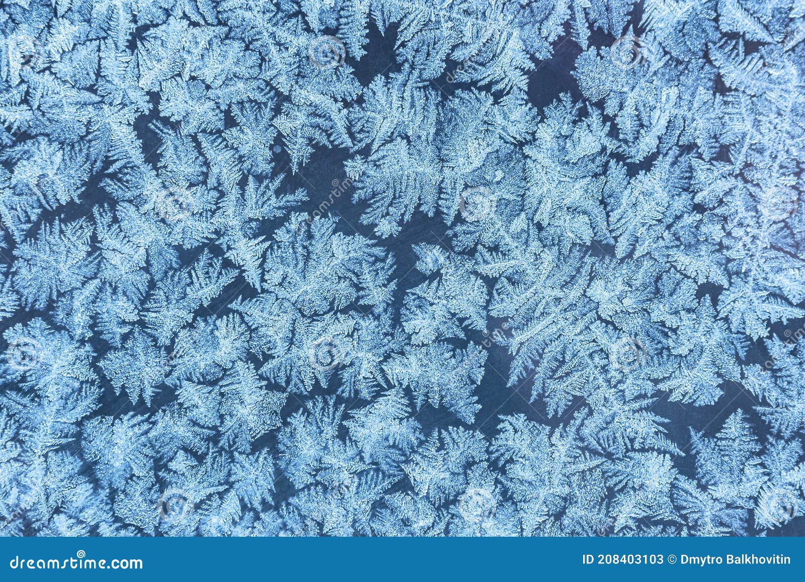 Frost pattern on glass stock image. Image of season - 208403103