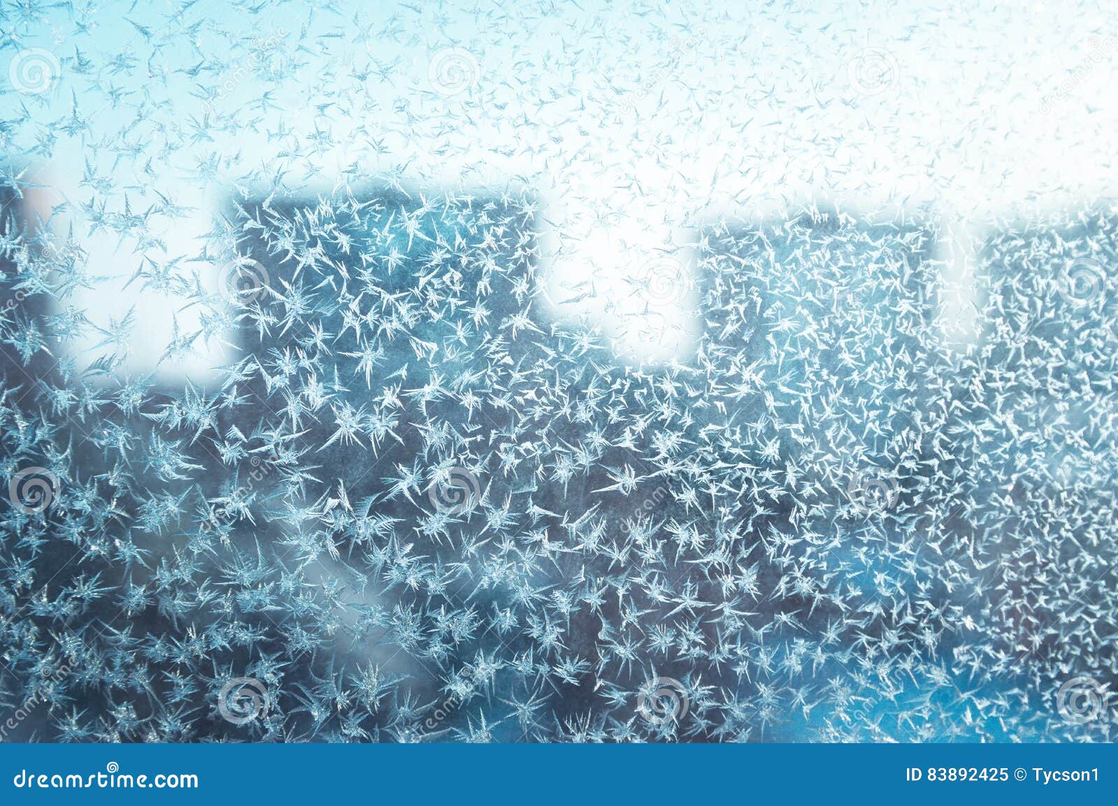Frost pattern on a window stock image. Image of city - 83892425