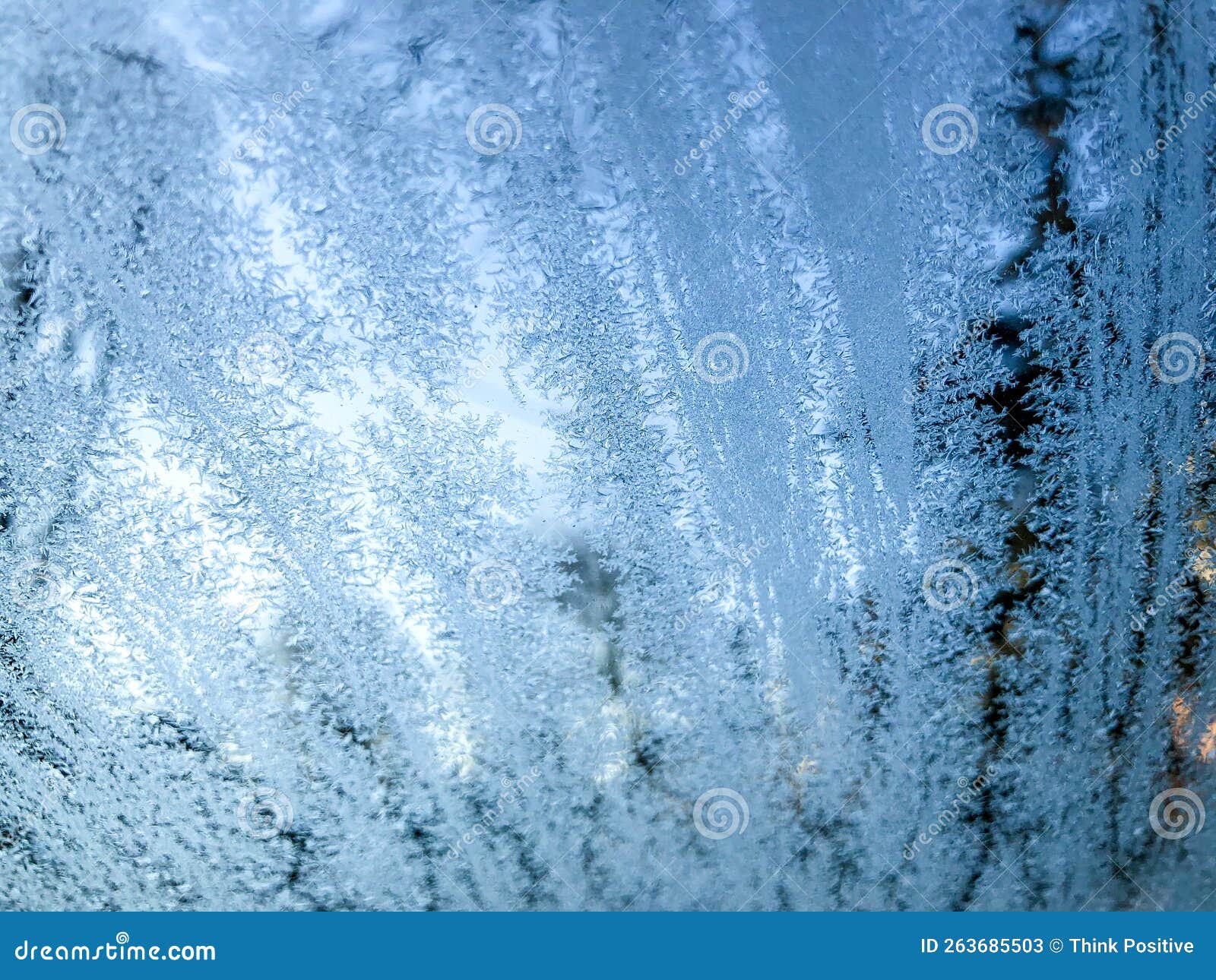 Frost pattern on window stock image. Image of intricate - 263685503