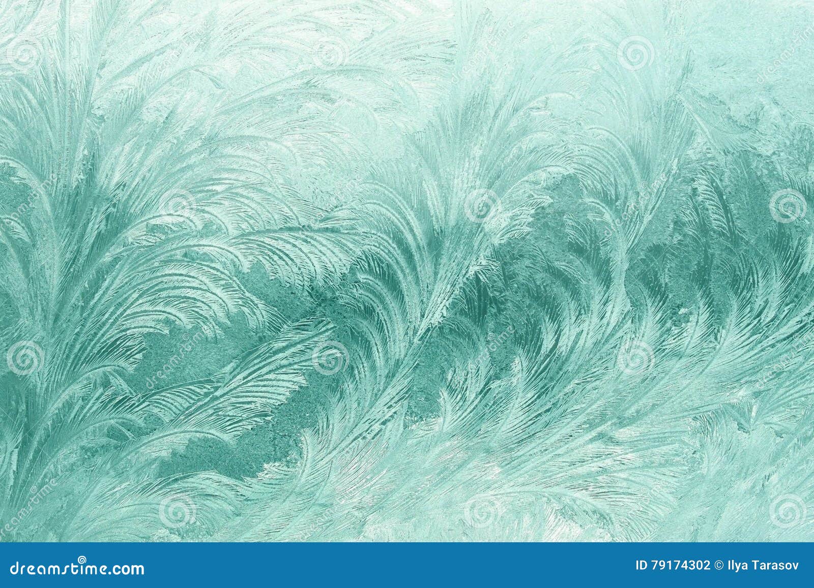 Frost Pattern on the Window Stock Photo - Image of macro, bright: 79174302