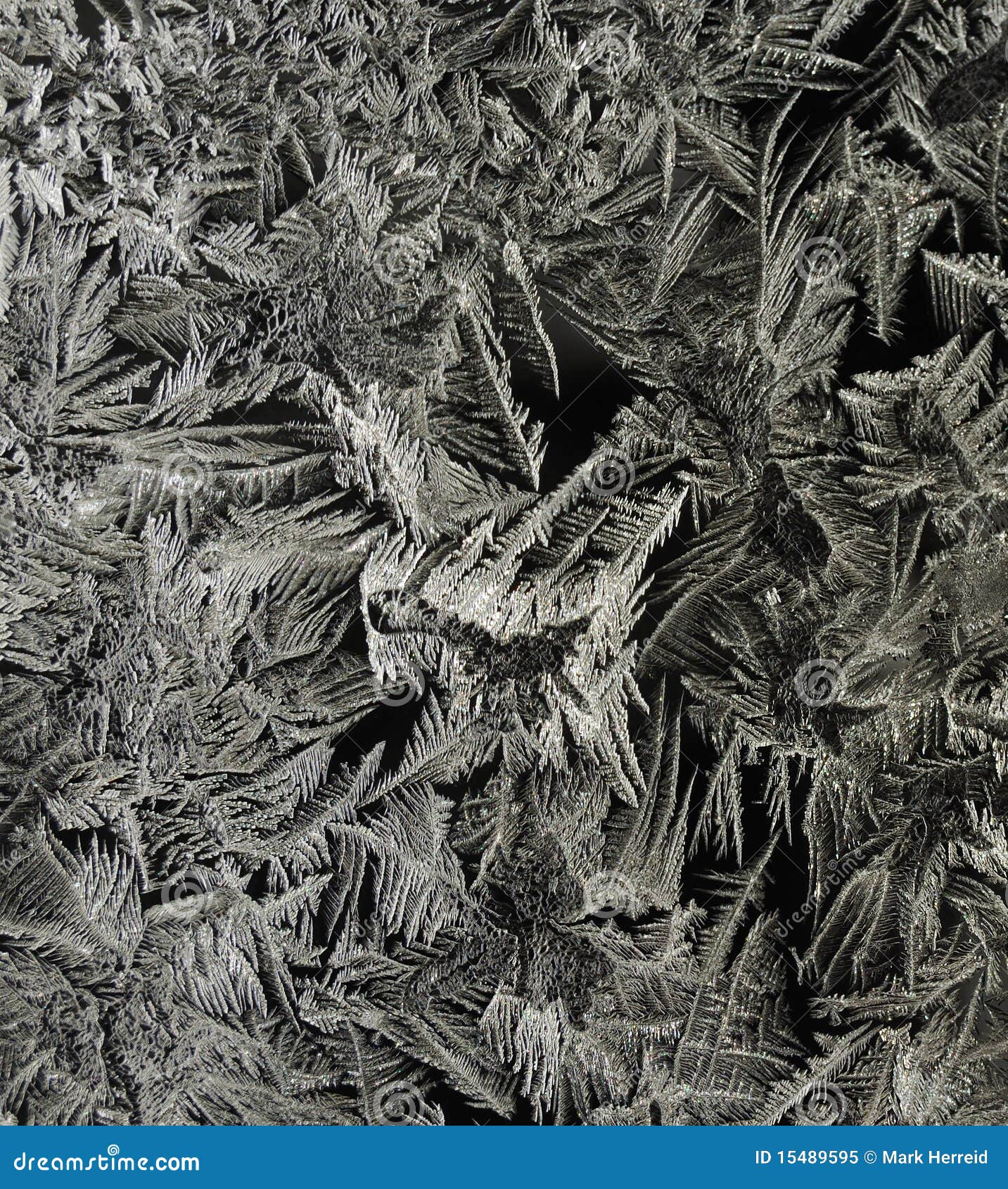 Frost Patterns stock image. Image of frost, frosted, freeze - 15489595