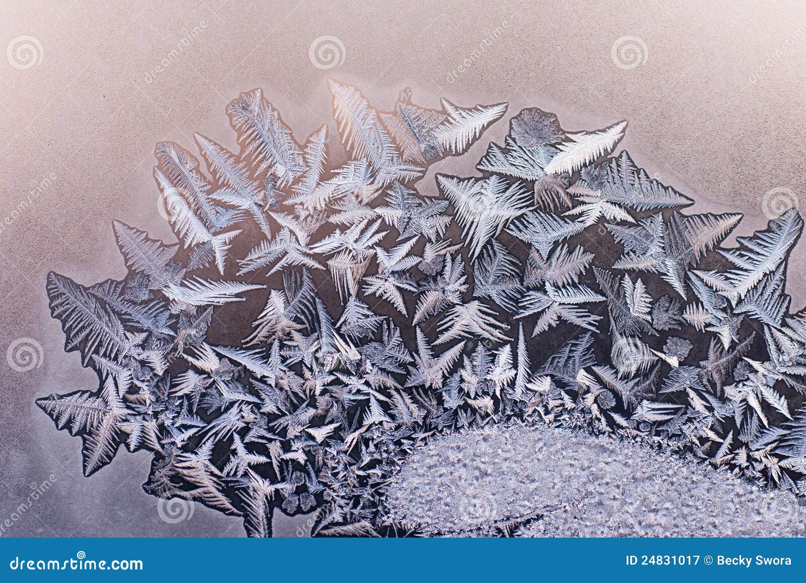Frost Patterns stock image. Image of abstract, winter - 24831017