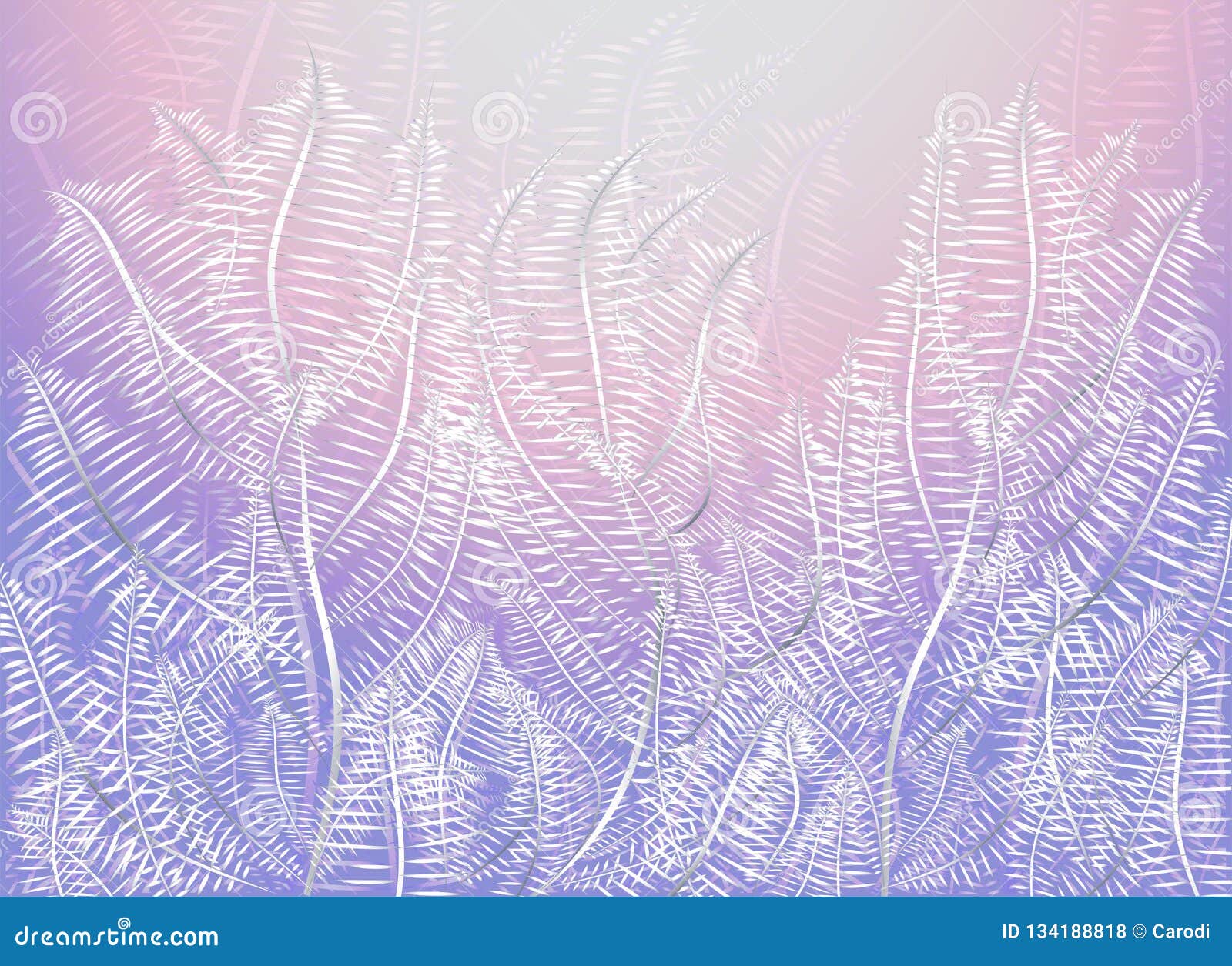 Frost Patterns on the Window, Vector Stock Vector - Illustration of ...