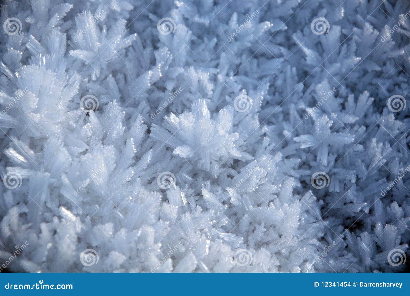 Frost & Snow Ice Crystals Stock Photo - Image of temperature, frozen ...