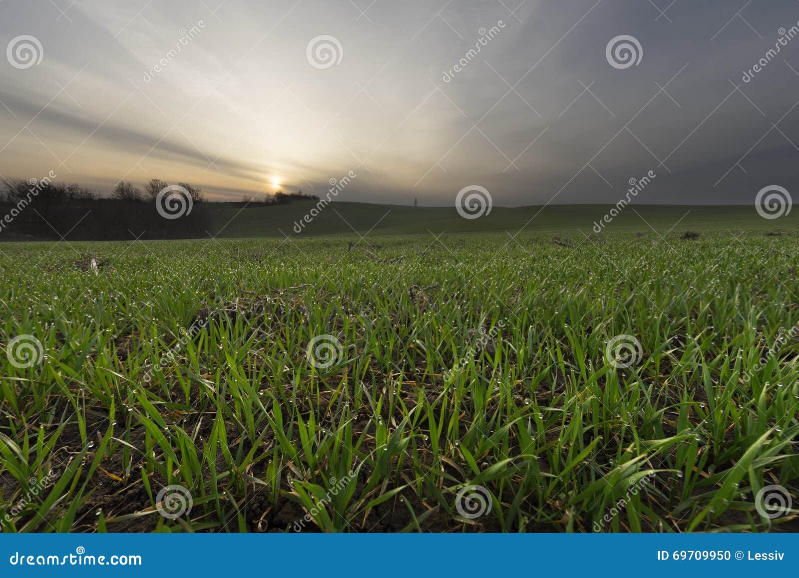 Frost Spring Morning stock photo. Image of environment - 69709950