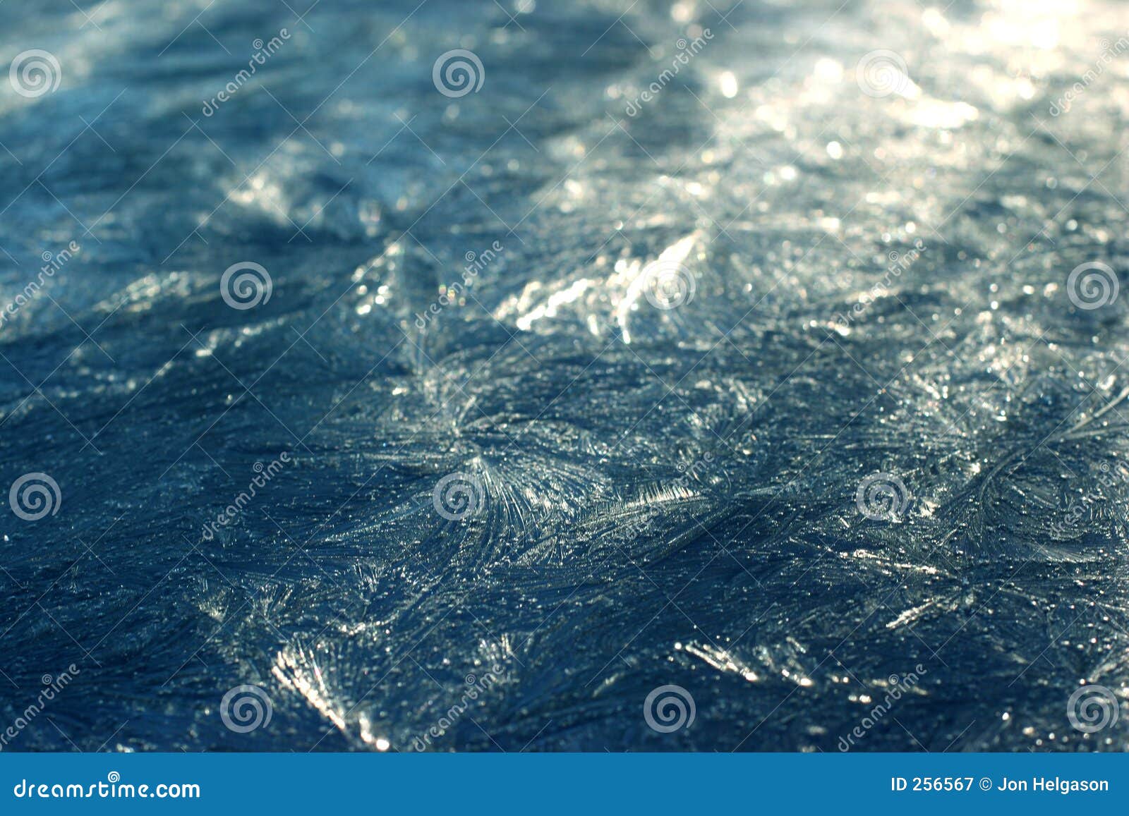 Frost texture stock image. Image of natural, rose, frostbite - 256567