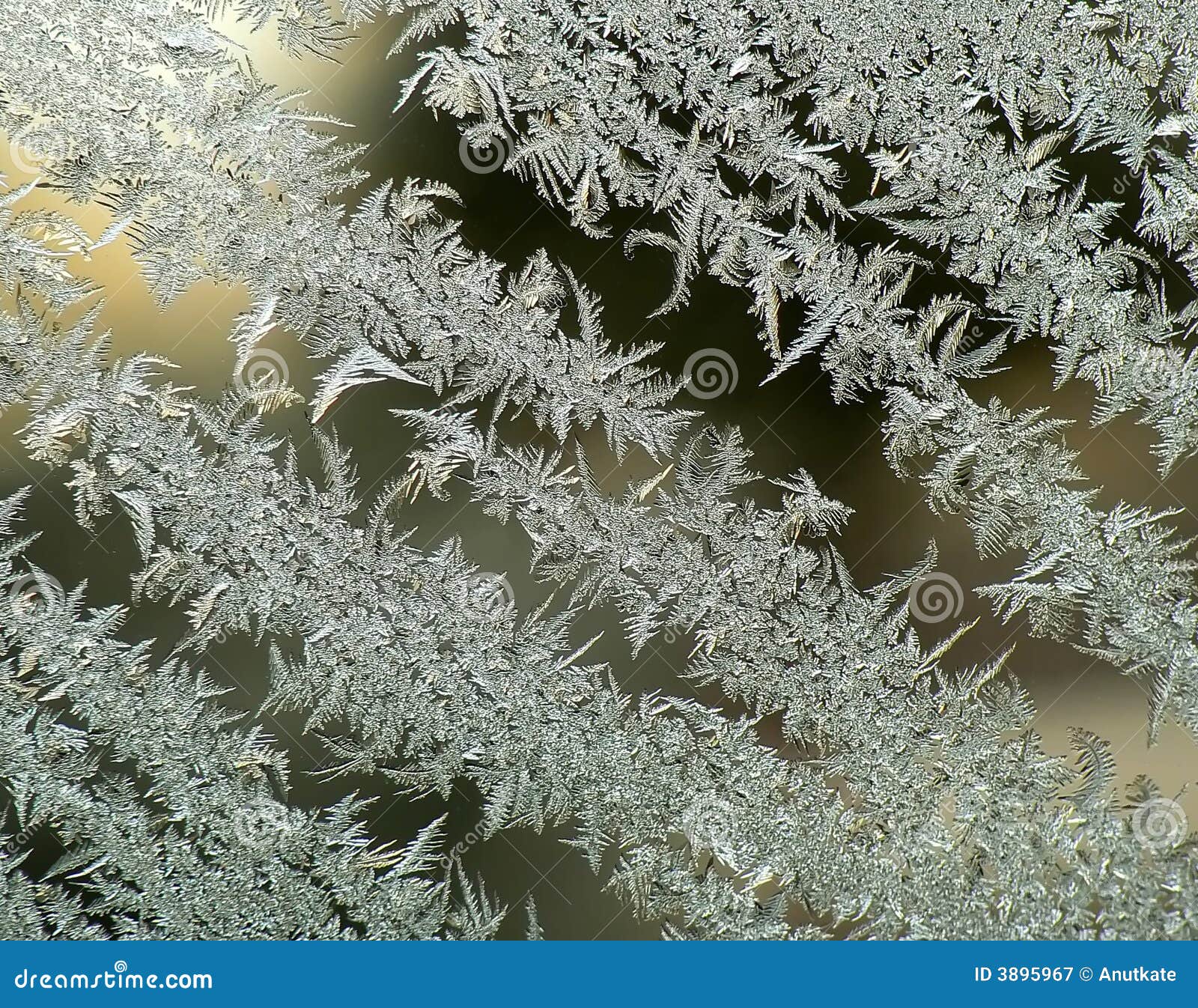 Frost on window stock image. Image of frosty, bright, seasonal - 3895967