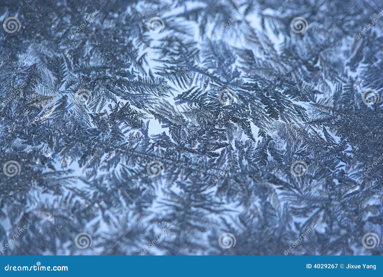Frost on window stock image. Image of water, frost, cold - 4029267