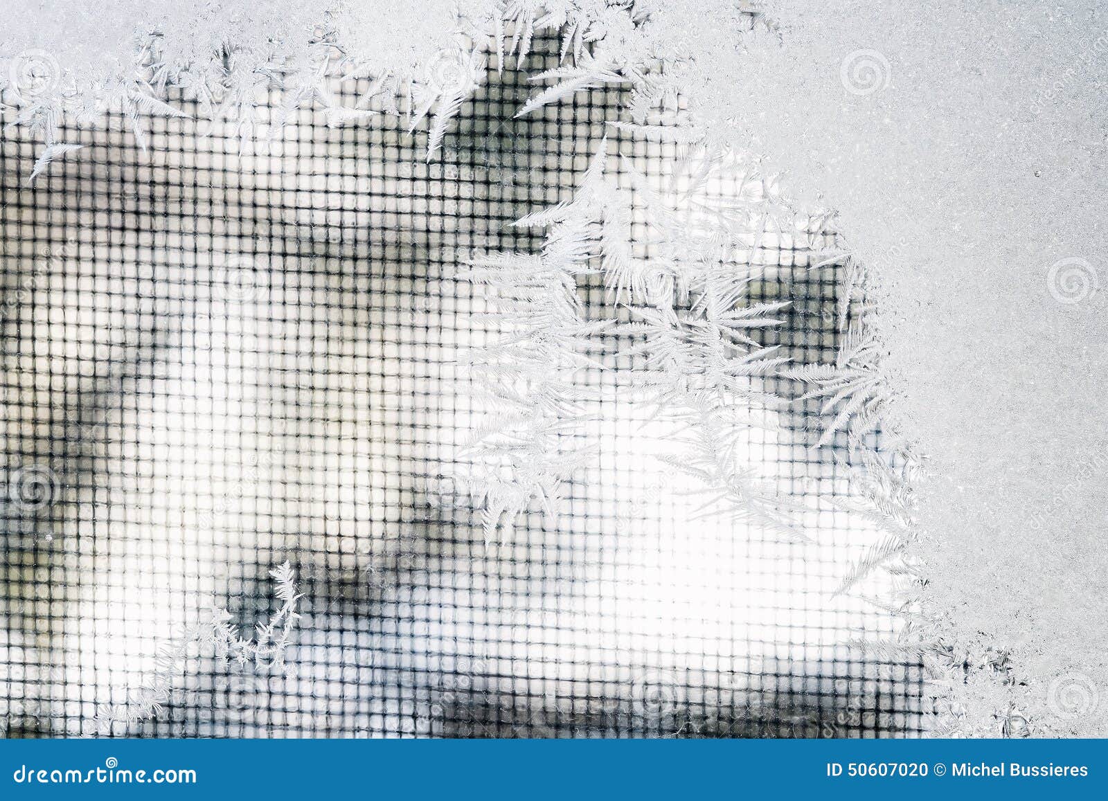 Frost stock photo. Image of back, closeup, crystal, detail - 50607020