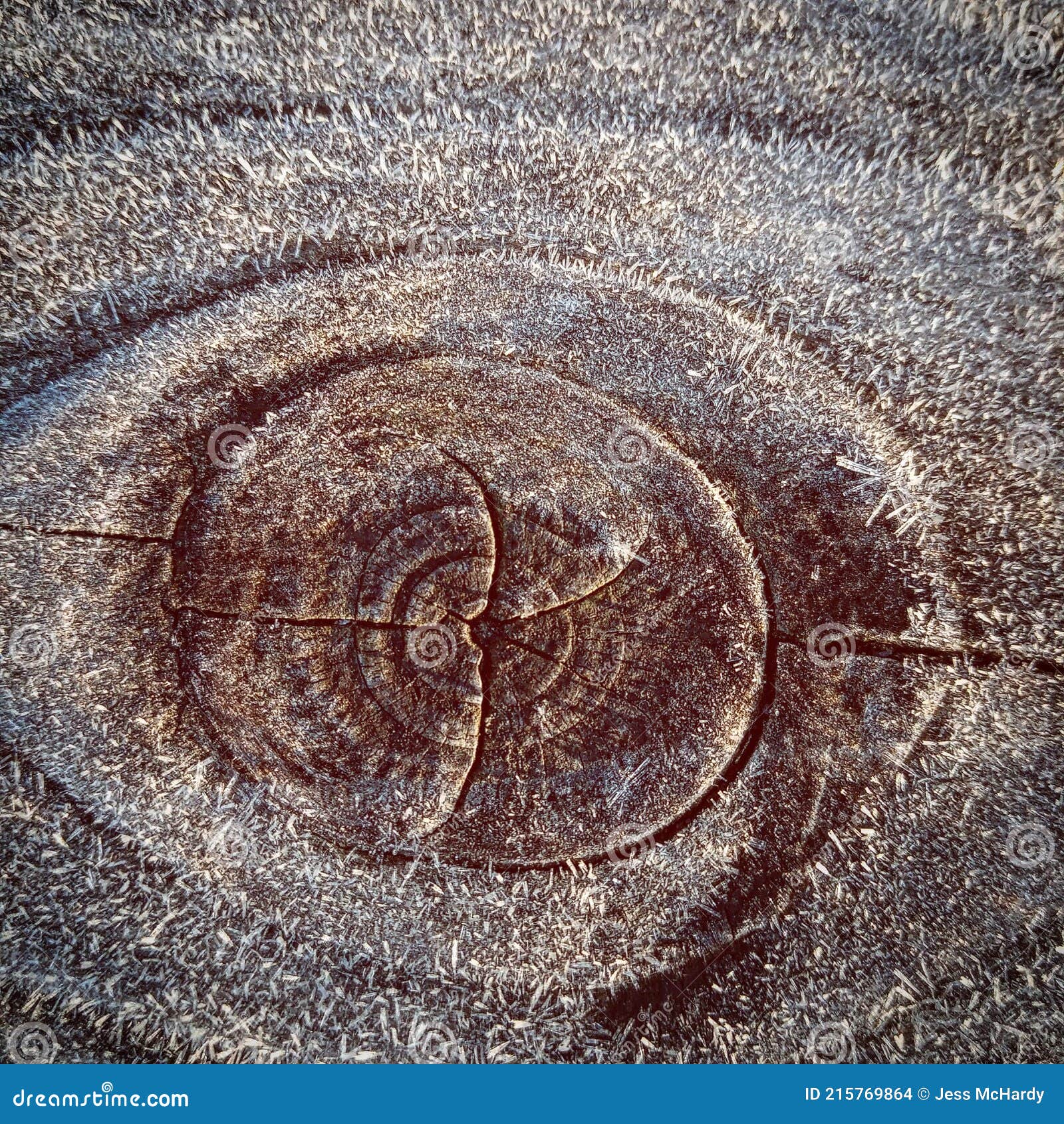 Frost on wood stock photo. Image of design, asphalt - 215769864