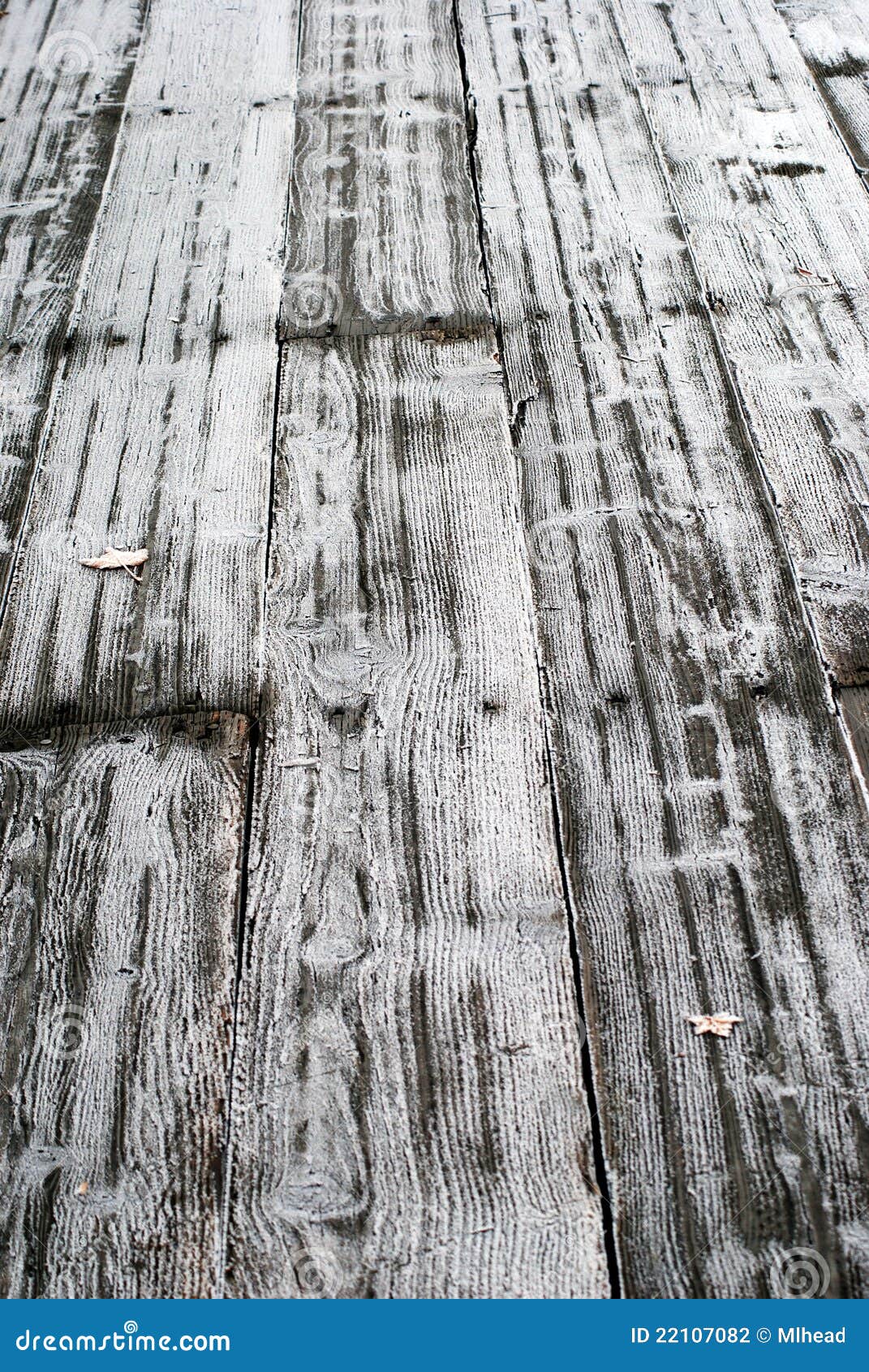 Frost on wood stock photo. Image of frost, winter, wood - 22107082